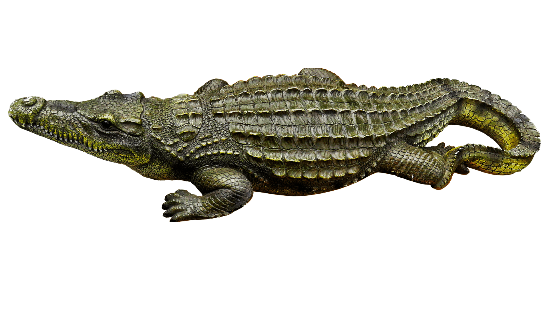 Top 10 Most Dangerous Crocodiles - aniimad.com